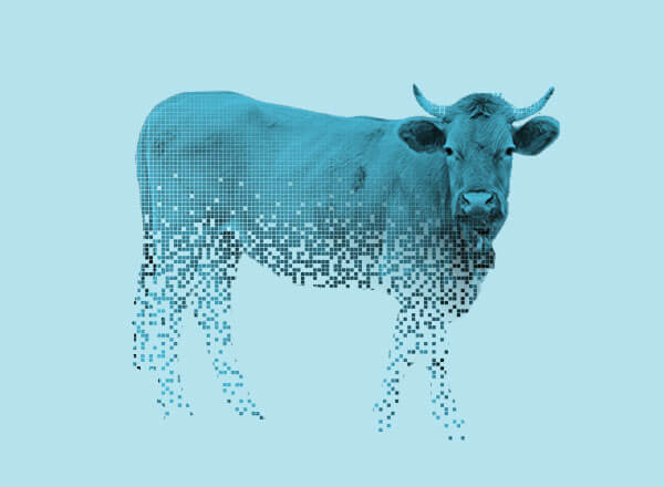 (Engineered) Food. It’s What’s For Dinner. | Andreessen Horowitz