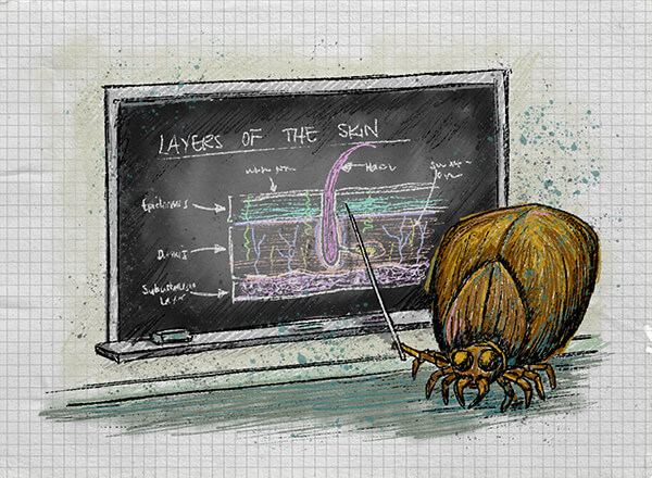 Journal Club: My Tick Teacher | Andreessen Horowitz